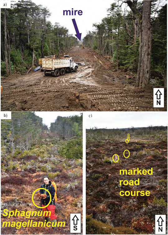 Mires: ecosystems under threat in Chile – Turberas de Chile